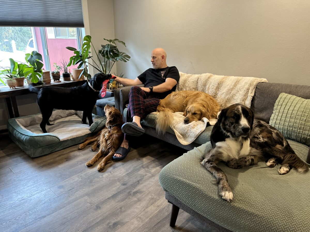 Meet Our Dog-Loving Team | The Purdy Pack Gig Harbor